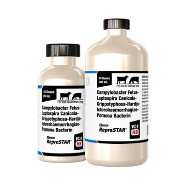 Elanco Cattle Vaccines | Help Keep Your Herds Healthy