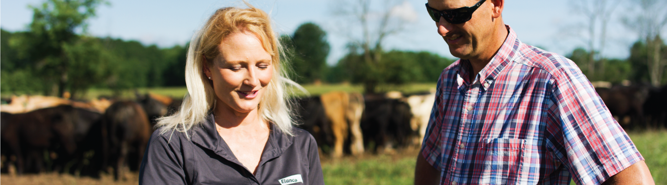 Products and Resources for Healthy Animals | Elanco