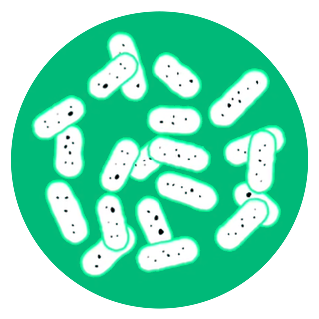Pradalex (pradofloxacin injection) Beef Product Page