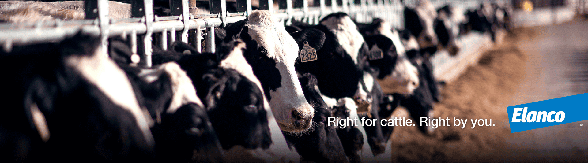 Products and Services to Optimize your Dairy Operation