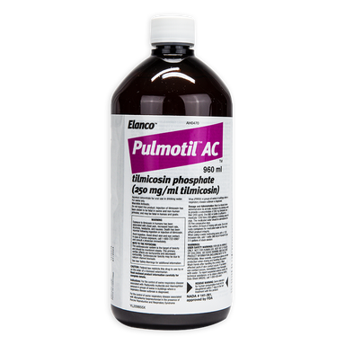 Swine Respiratory Health