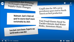 Elanco | Beef | Experior