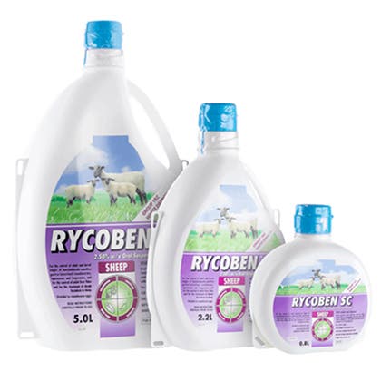 Rycoben™ SC 1-BZ for worms and liver fluke in sheep