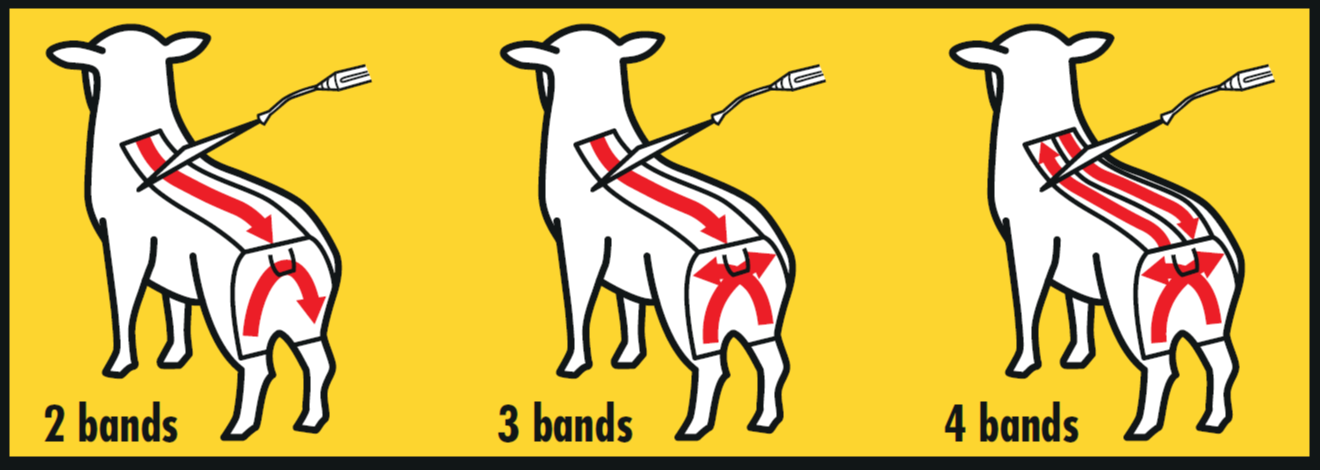 CLiK™ Extra Spray-On