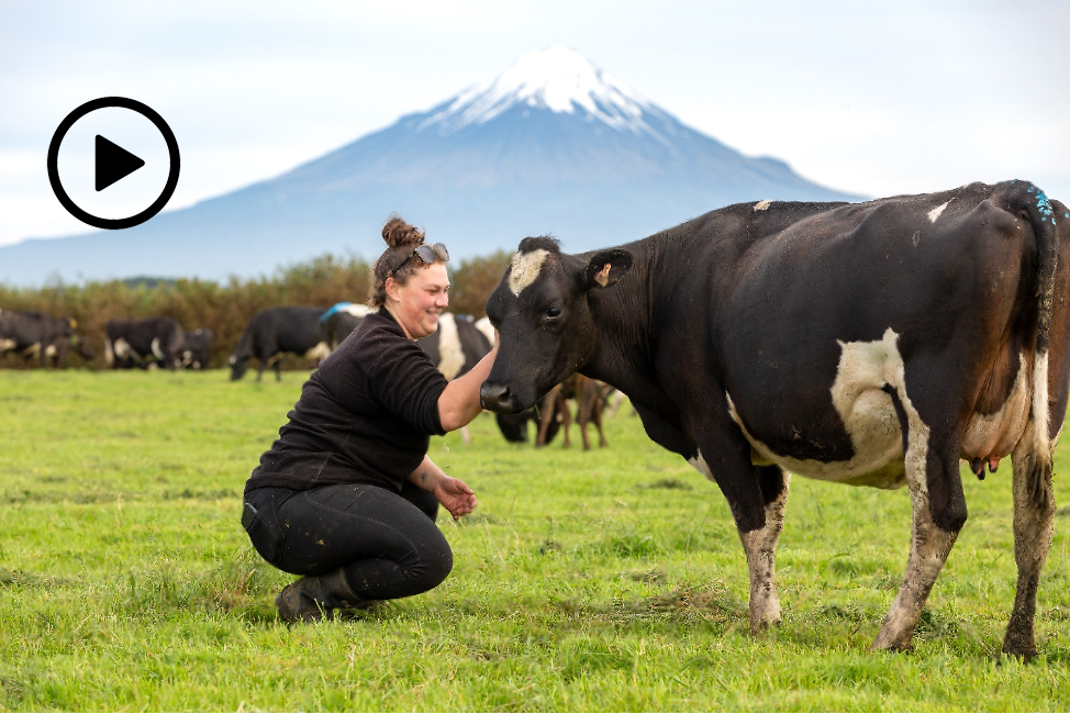 Metabolic Solutions – Metabolic Disease the Basics