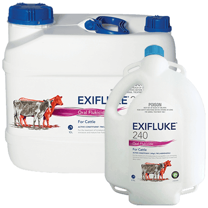 Exifluke™ 240 Oral Flukicide for Cattle | Elanco