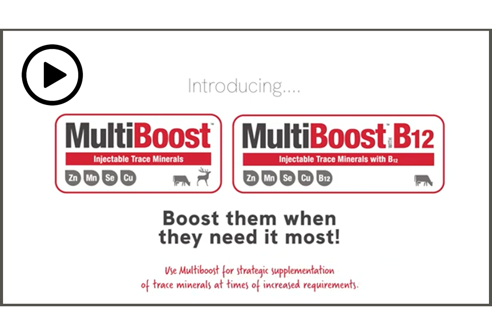 MultiBoost: Boost them when they need it most!