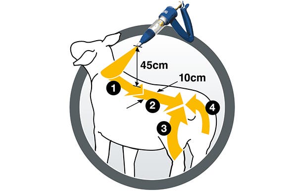 CLiK™ EXTRA 19 Weeks Blowfly Strike Prevention in Sheep