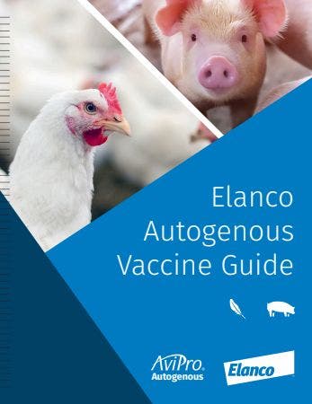AviPro Autogenous | Poultry Vaccines | Elanco US