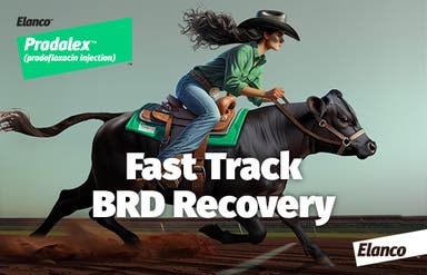 Retail Knowledge Center