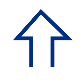 Denagard (Tiamulin hydrogen fumarate)