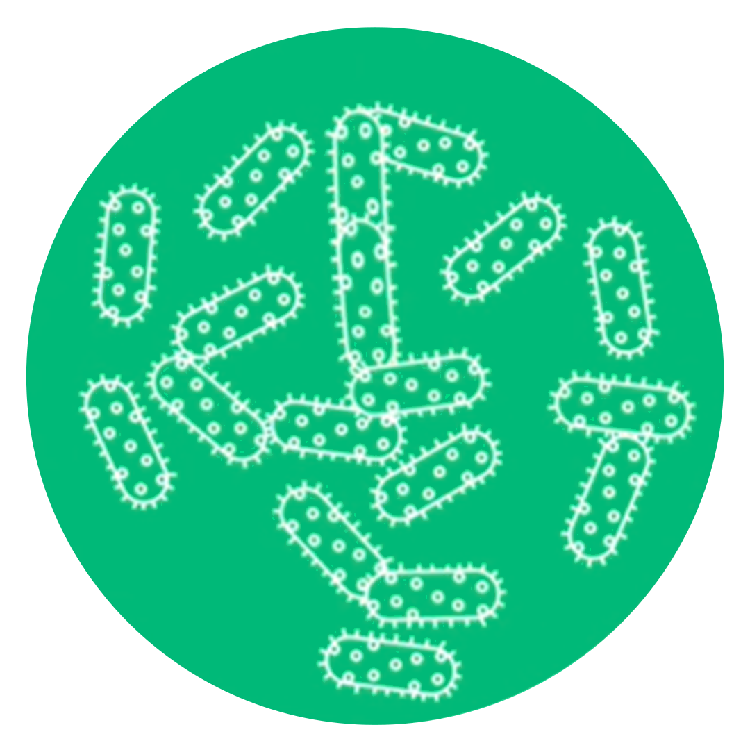 Pradalex (pradofloxacin injection) Beef Product Page