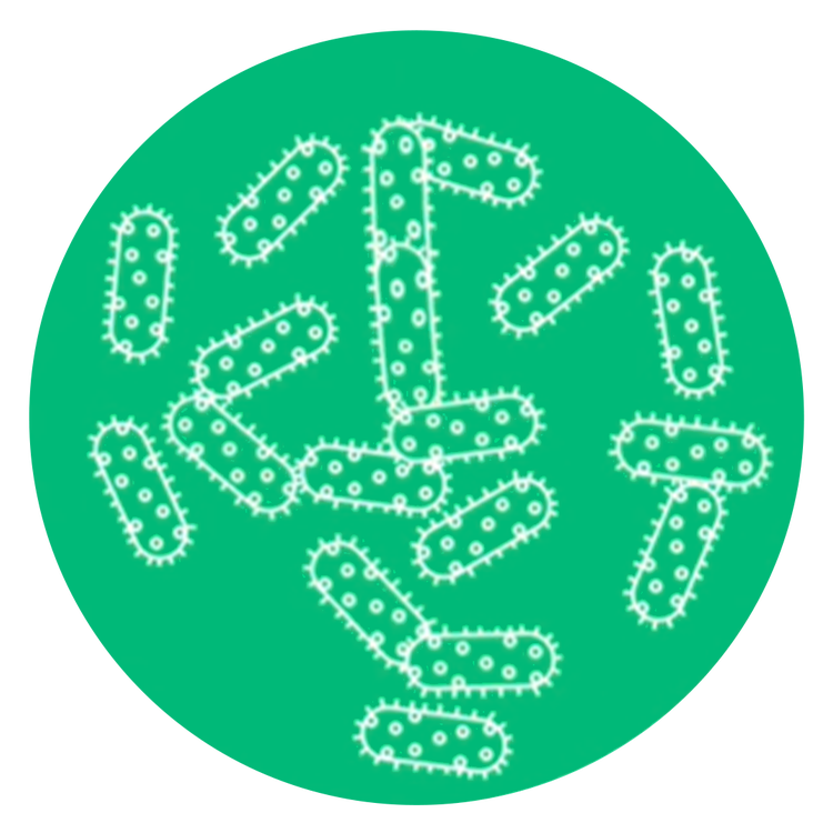 Pradalex (pradofloxacin injection) Beef Product Page