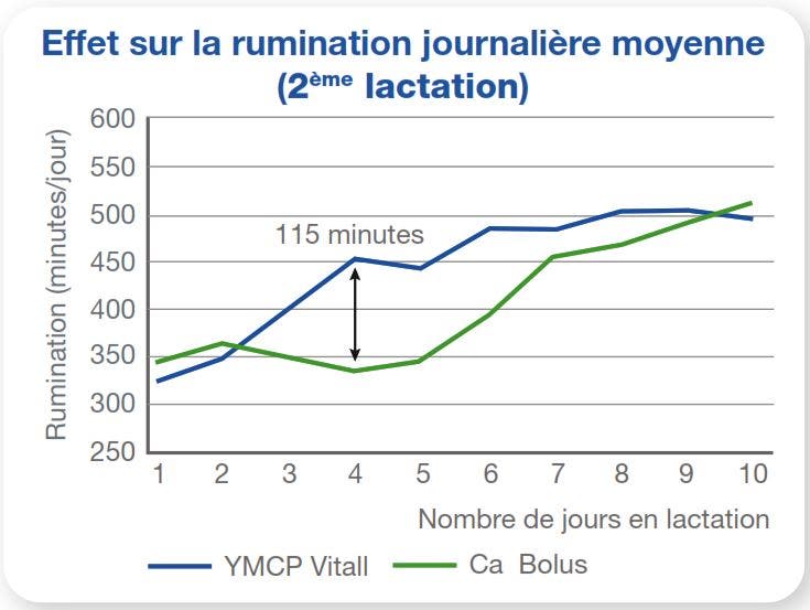 Microbiome du rumen — Elanco