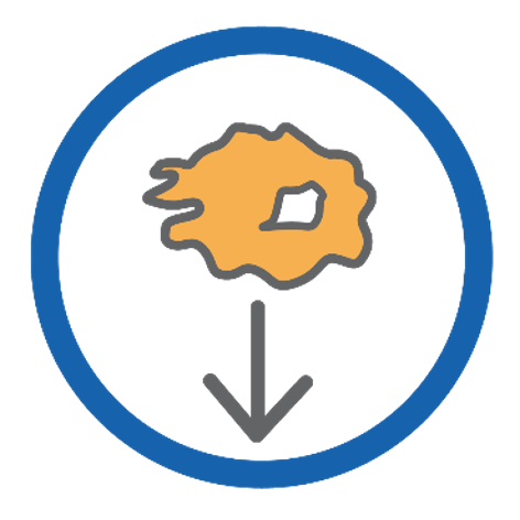 Ovuprost™ for Cows, Mares and Sows | Elanco Farm Animal NZ