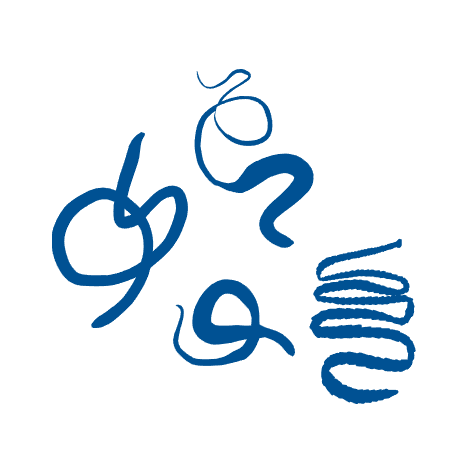 Milbemax™ Worming Tablets for Cats and Kittens | NZ