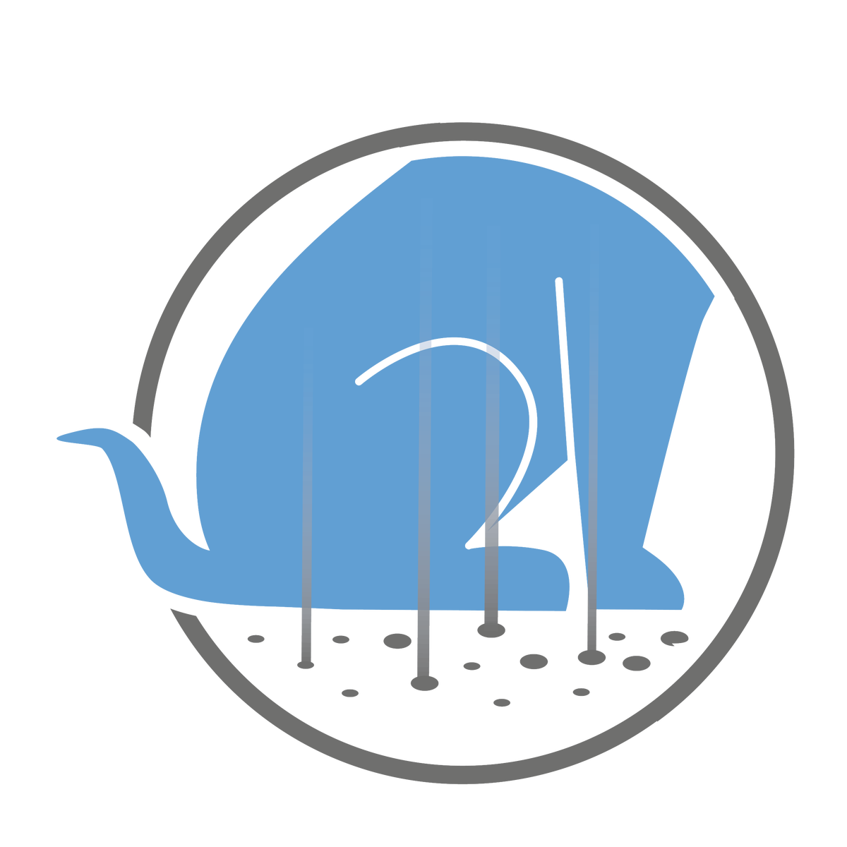 CAPSTAR™, COMPRIMÉ ANTI-PUCES POUR CHIENS