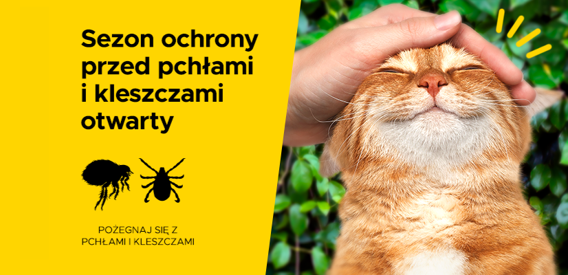 AdTab - tabletki na kleszcze i pchły dla kotów