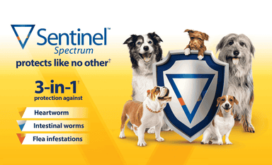 Sentinel Spectrum™: Flea & Parasite Protection