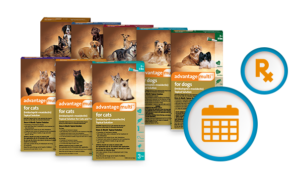 Advantage Multi® | Comprehensive Flea and Heartworm Protection