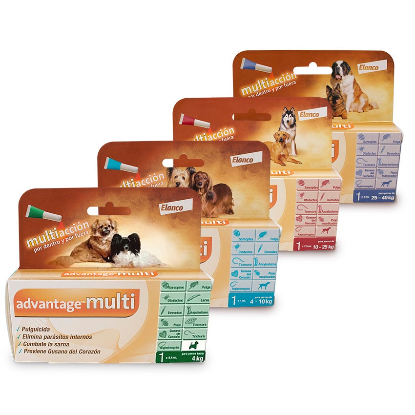 Advantage Multi Perros | Protección integral contra pulgas, gusano de ...