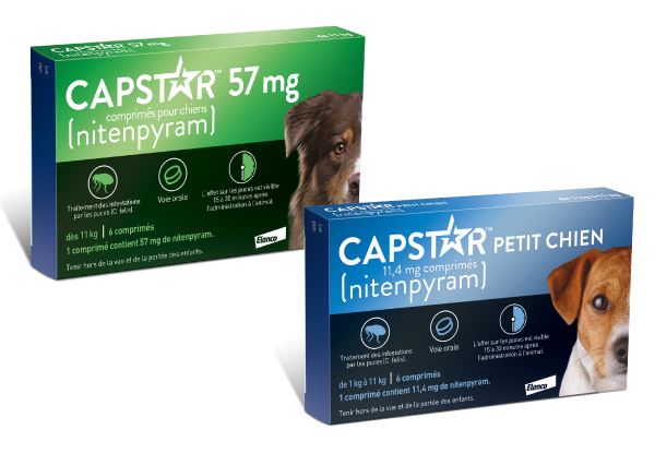 CAPSTAR™, COMPRIMÉ ANTI-PUCES POUR CHIENS