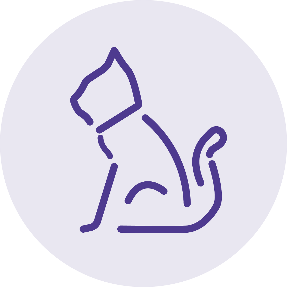 Varenzin™-CA1 — Treat Non-Generative Anemia in Cats with Kidney Disease