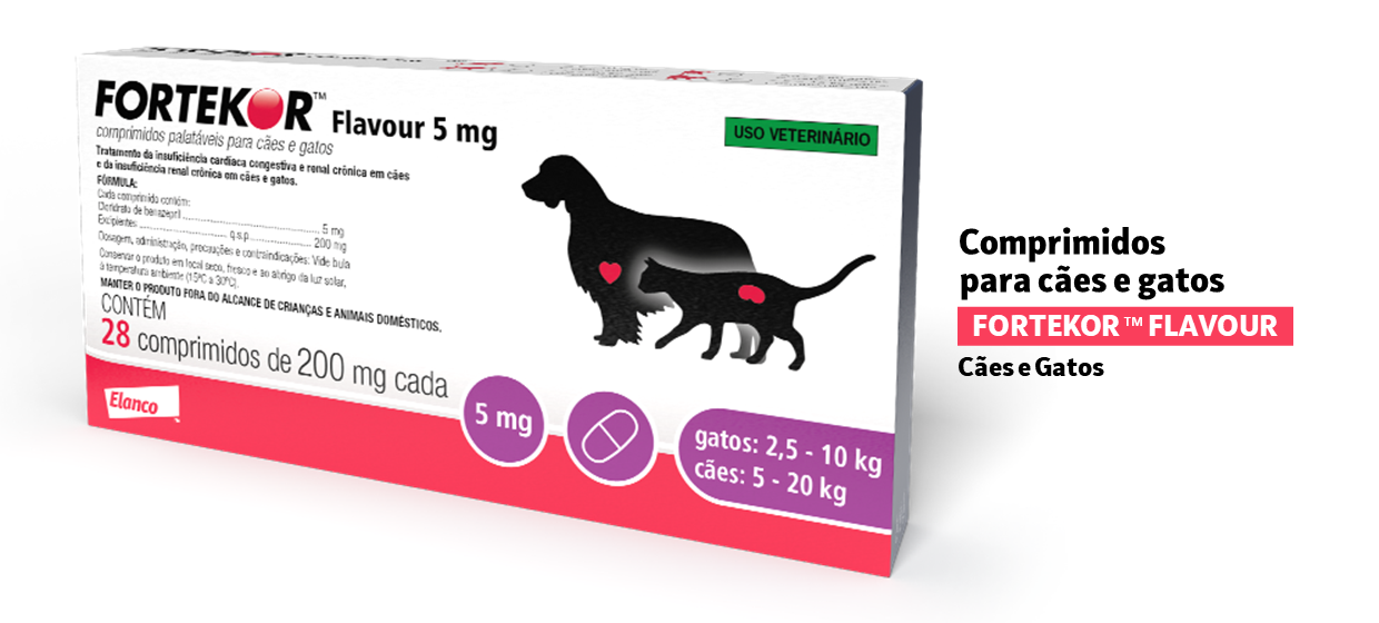 Quatro motivos pelos quais os gatos ronronam