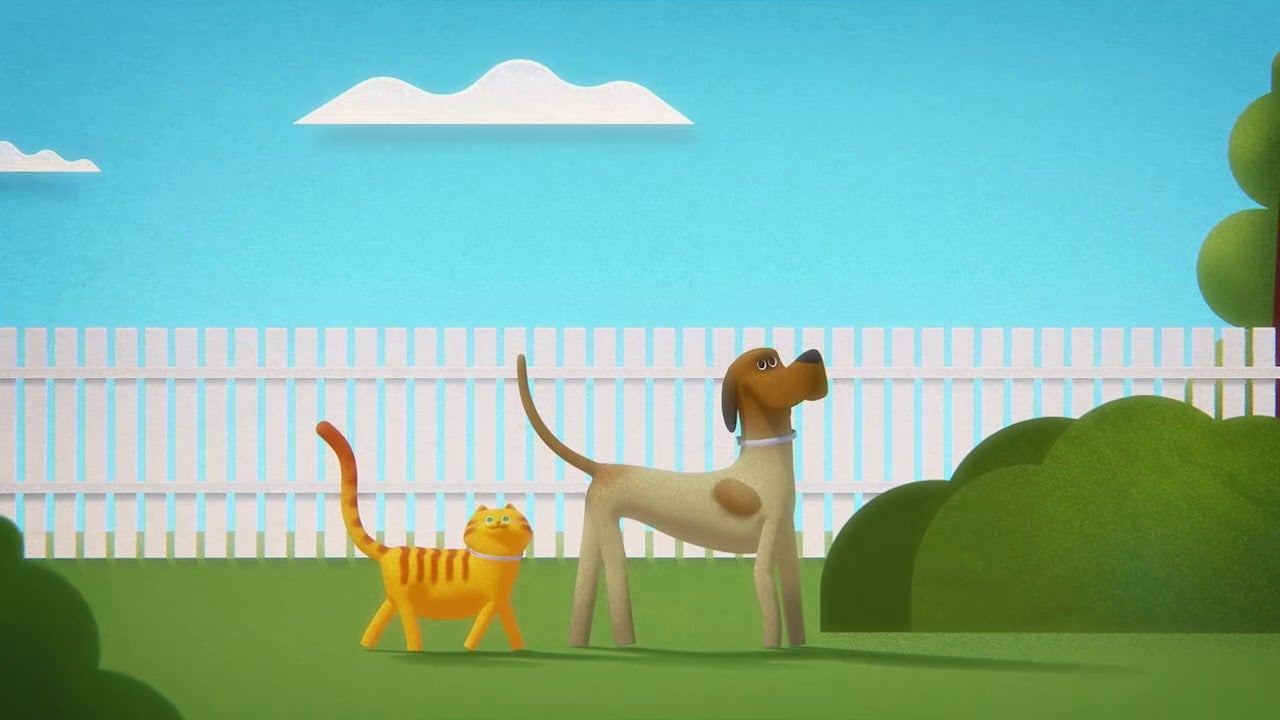 Collar antipulgas y antigarrapatas para perros y gatos Seresto ...