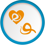 Advantage Multi® for Dogs | Vet-approved Flea and Heartworm Protection