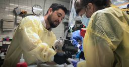 Secure Your Dog's Wellbeing with One-Dose Parvo Treatment