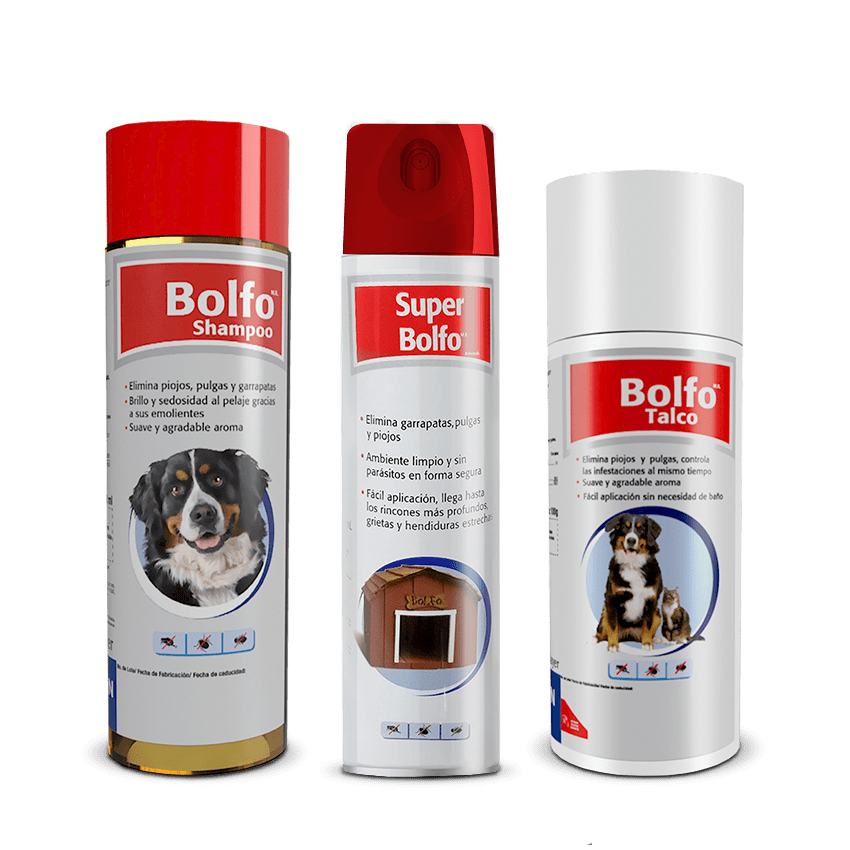 Bolfo: Control integral de pulgas y garrapatas | Elanco