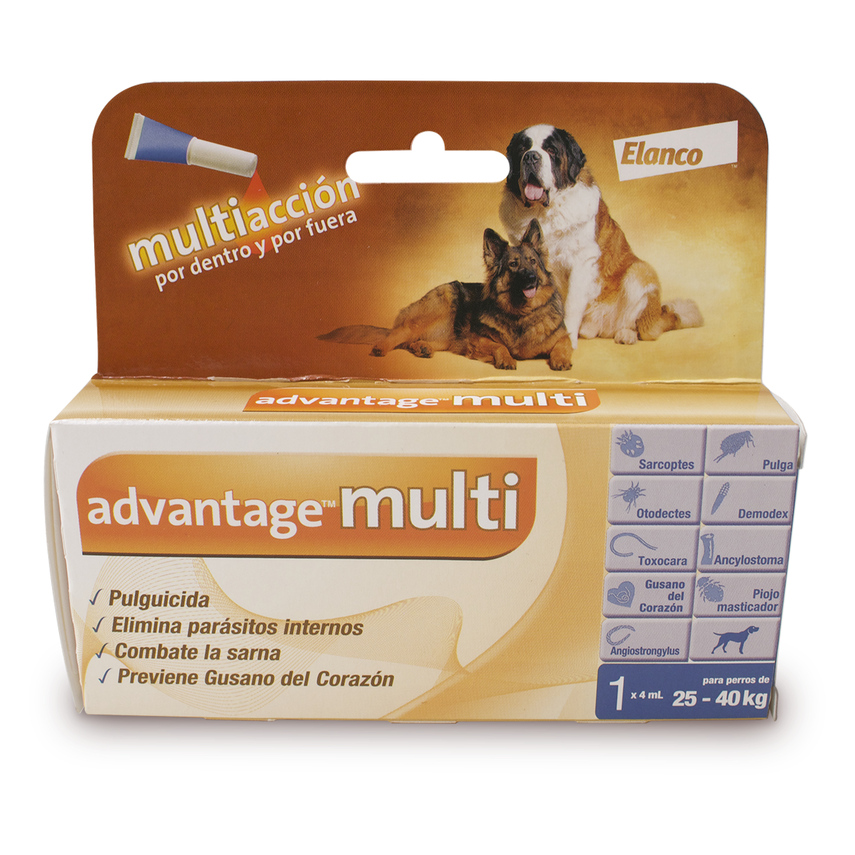 Qué Tan Pronto Se Le Puede Dar A Un Cachorro Un Medicamento Contra Las ...