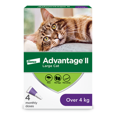 Advantage®II Flea Treatment for Cats | My Pet and I