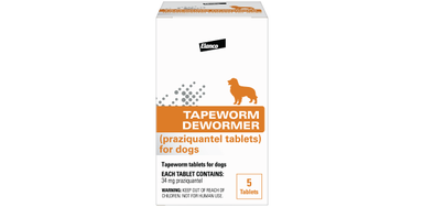 What Can You Expect after Deworming Your Dog?