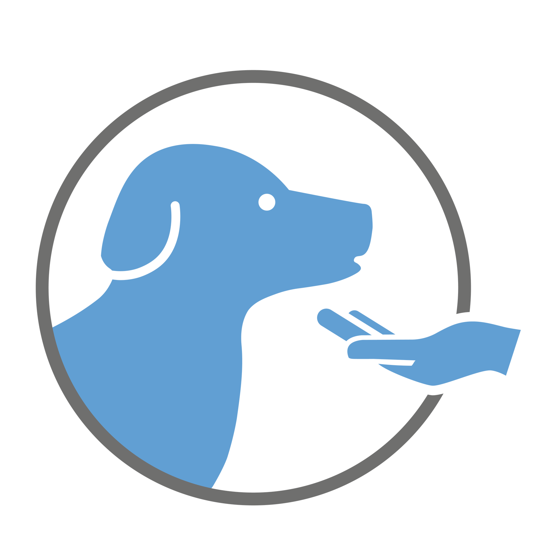 CAPSTAR™, COMPRIMÉ ANTI-PUCES POUR CHIENS