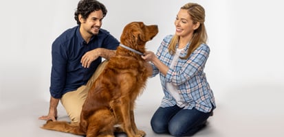 Shop Interceptor Spectrum Online