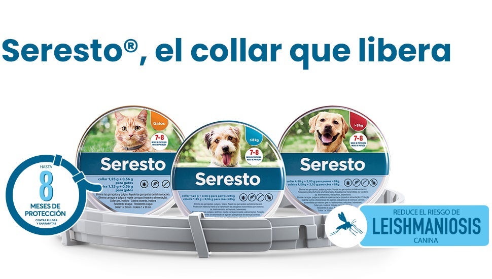 Seresto® collar antiparasitario para perros y gatos