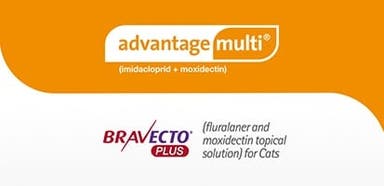 Compare Advantage Multi® for Cats (imidacloprid+moxidectin)