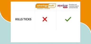 Compare Advantage Multi® for Cats (imidacloprid+moxidectin)