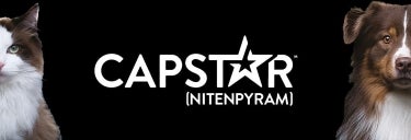 Buy Capstar Flea Treatment Tablets for Dogs and Cats