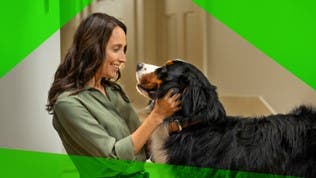 Credelio™ PLUS: Comprehensive Canine Protection