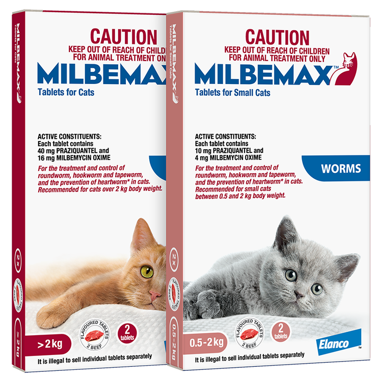 cat tapeworm tablets