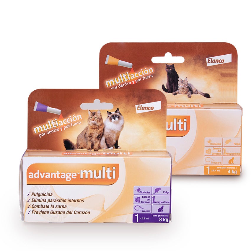 Advantage Multi Gatos | Protección contra pulgas y lombrices