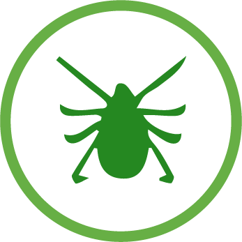 Credeli™ Plus – proteção mensal contra pulgas, carrapatos e vermes