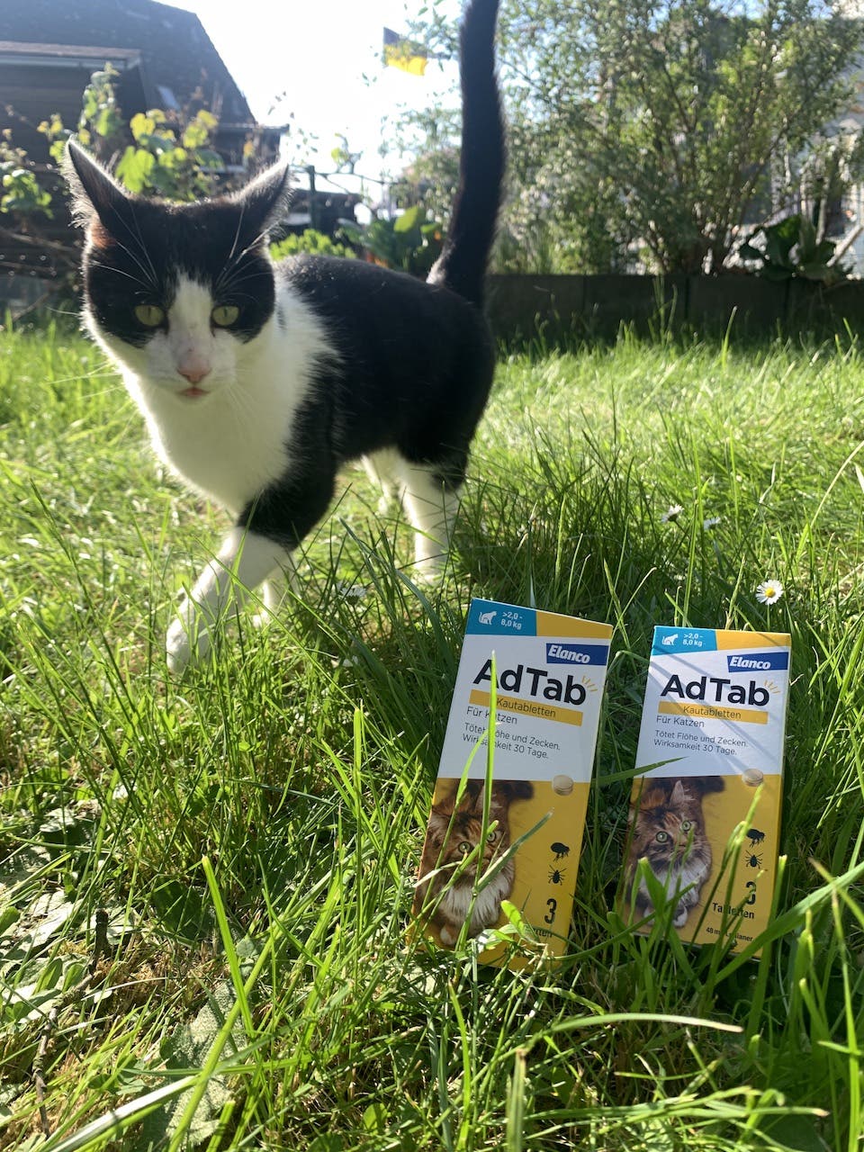 AdTab gegen Flöhe und Zecken - Kundenbewertungen