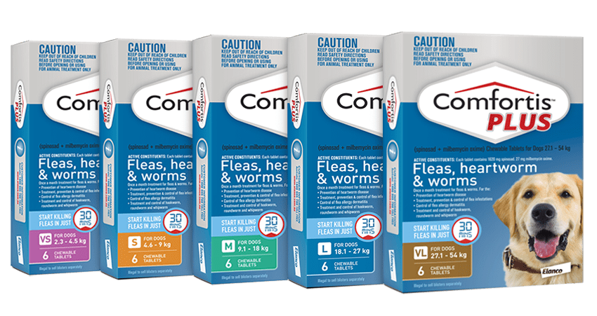 Comfortis Plus for dogs