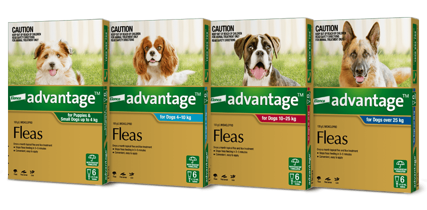 Advantage™ Dog Flea Treatment: Fast and Safe