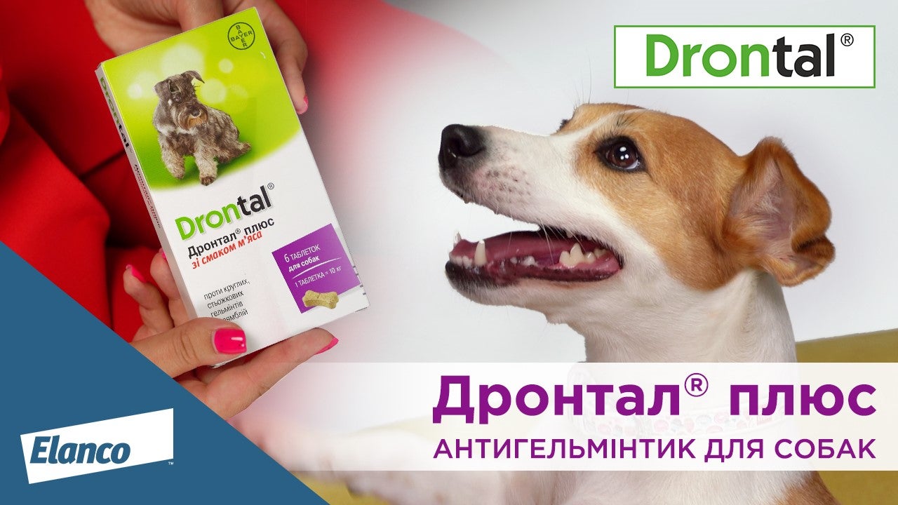 Дронтал, Дронтал плюс антигильмінтик для котів та собак | Мій домашній ...