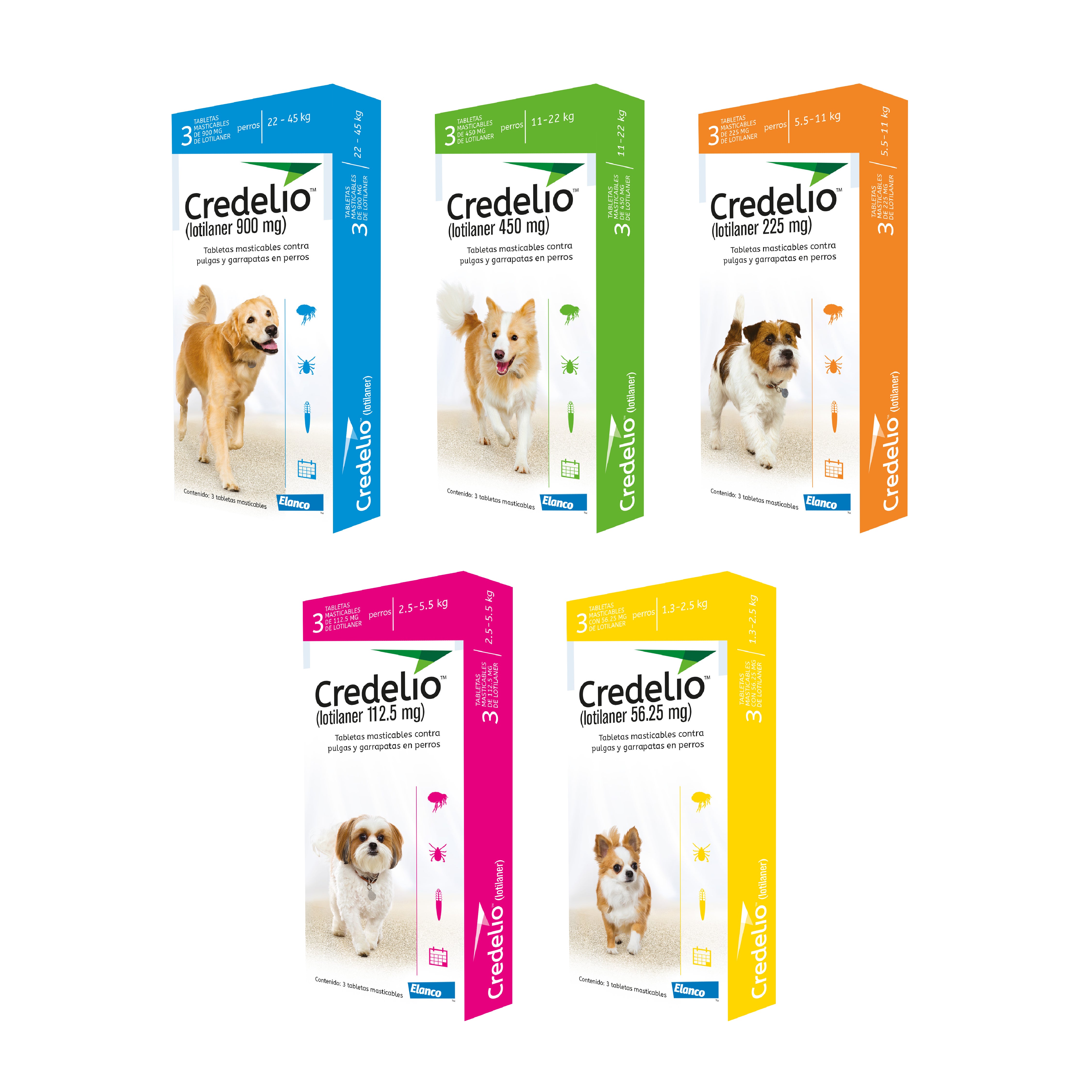 Credelio™ para perros | Mata pulgas y garrapatas